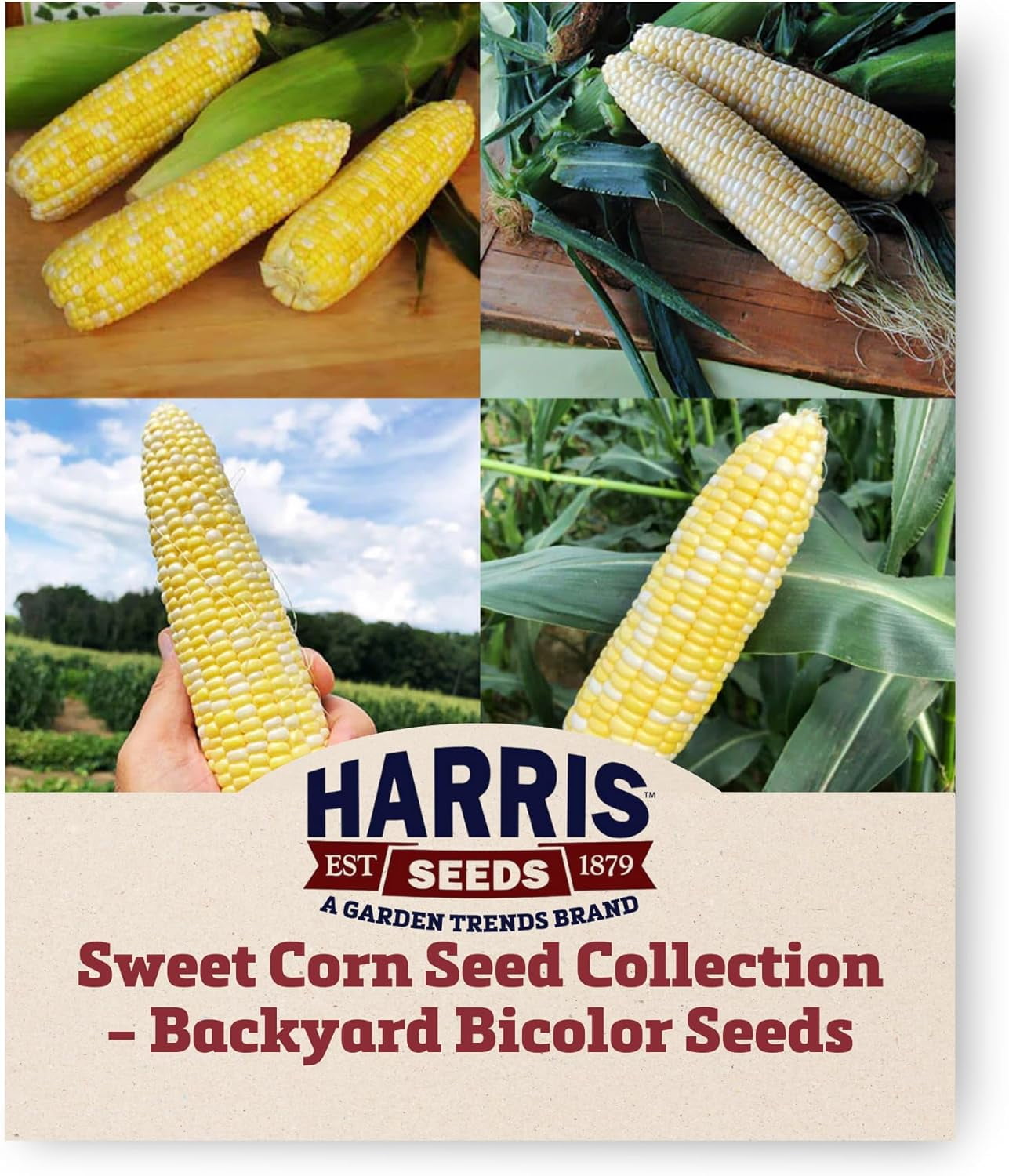 Harris Seeds -Treated Bicolor Extra Sweet Corn Packet - 4 Popular ...