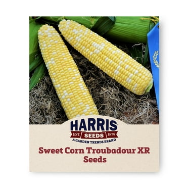 10 Dipper Gourd Seeds - Walmart.com