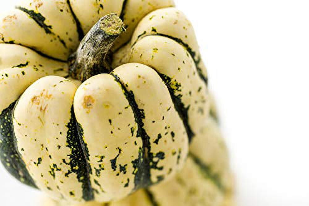 Sweet Dumpling Winter Squash Seeds for Planting, 50+ Heirloom Seeds Per ...
