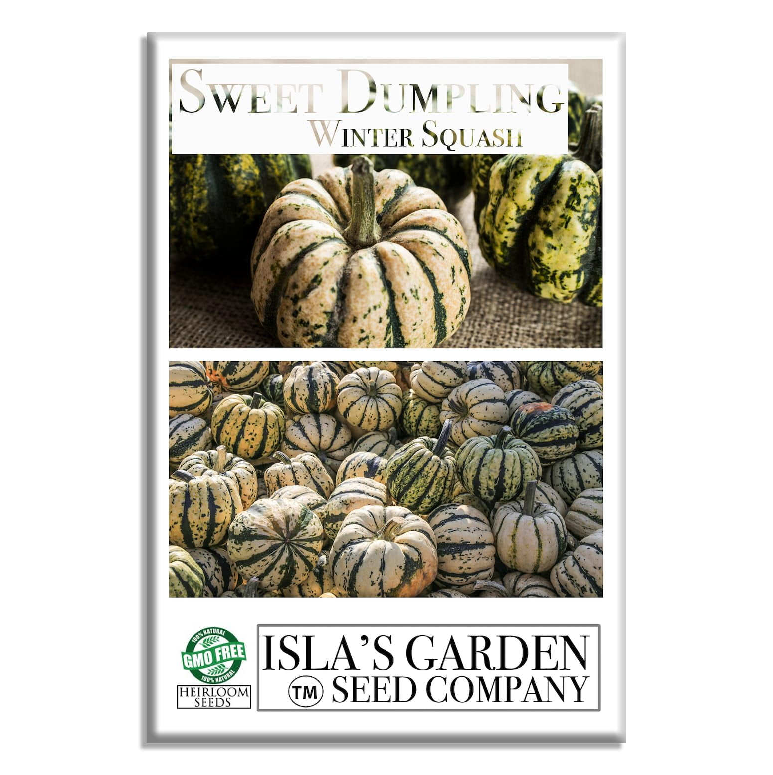 Sweet Dumpling Winter TWE5 Squash Seeds for Planting, 50+ Heirloom ...