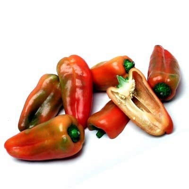 Sweet Gypsy Hybrid Pepper Seeds, 20 Heirloom Seeds Per Packet, Non GMO ...