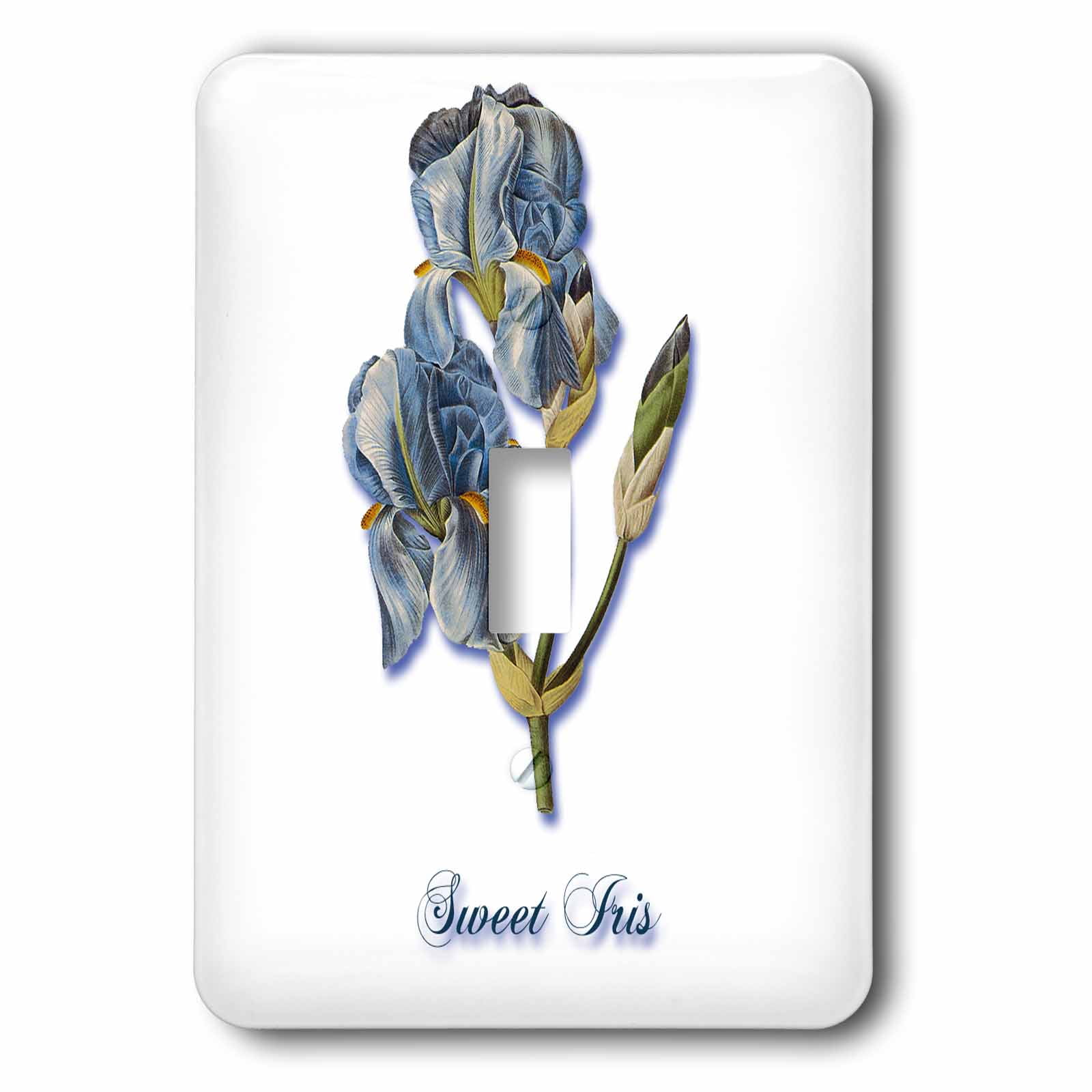 Sweet Iris, Botanical Print of a Light Blue Bearded Iris single toggle switch lsp-171218-1 ...