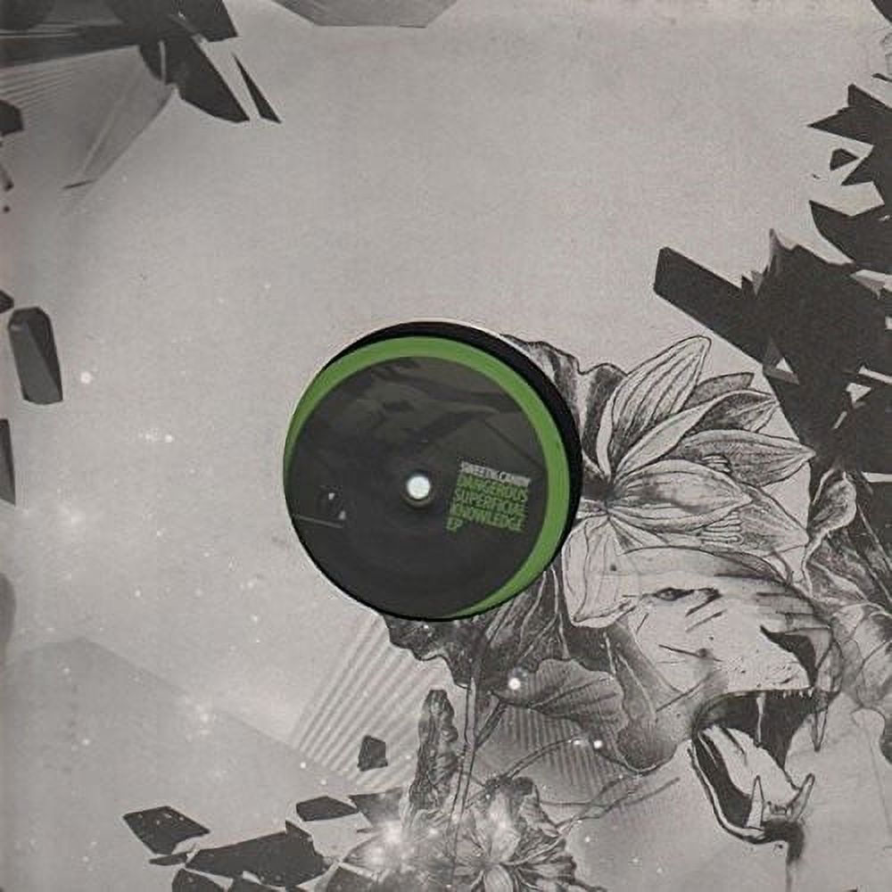 Sweet N'candy - Dangerous Superficial Knowledge - Electronica - Vinyl ...