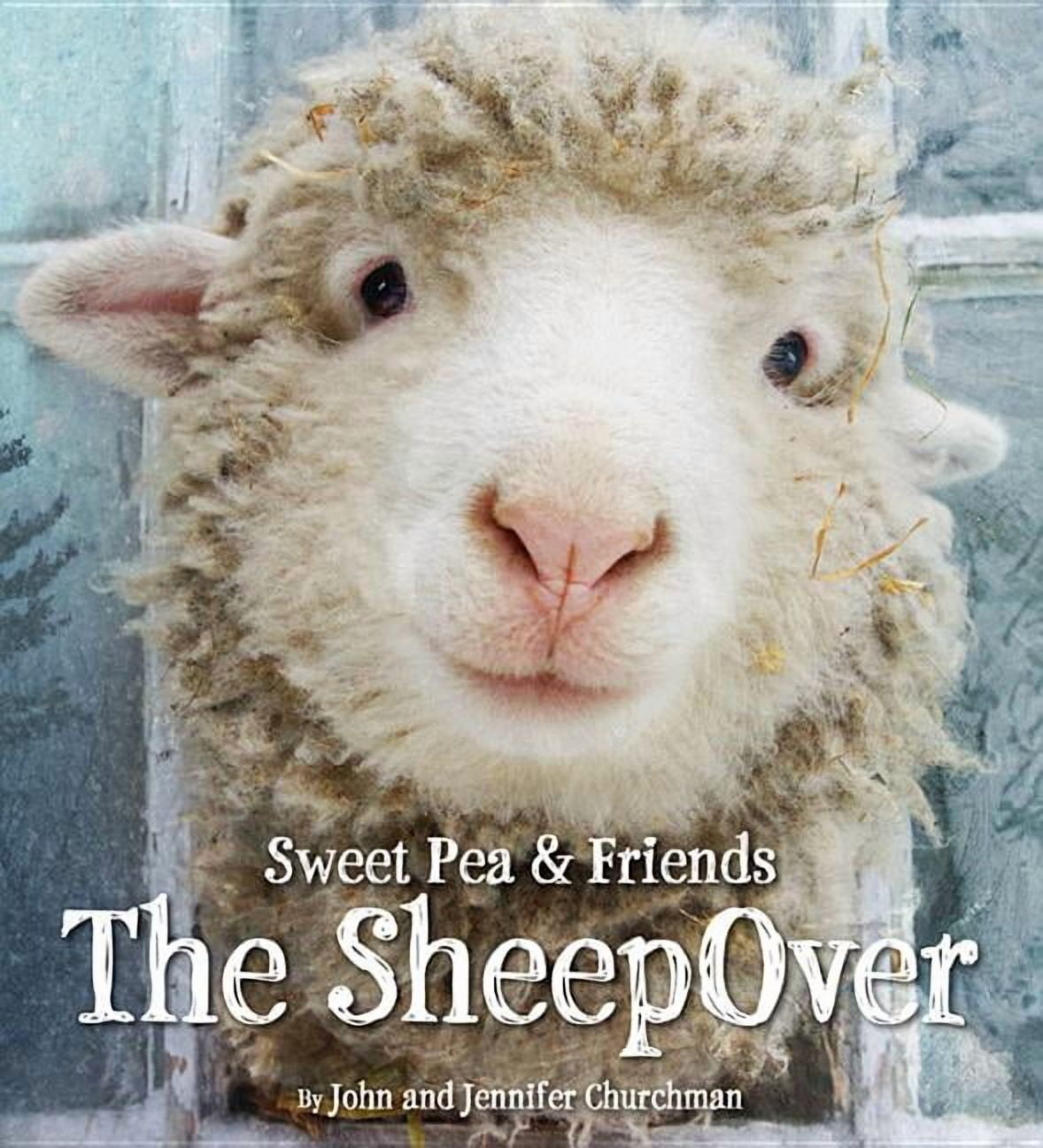 Sweet Pea & Friends: The SheepOver (Series #1) (Hardcover) - Walmart.com