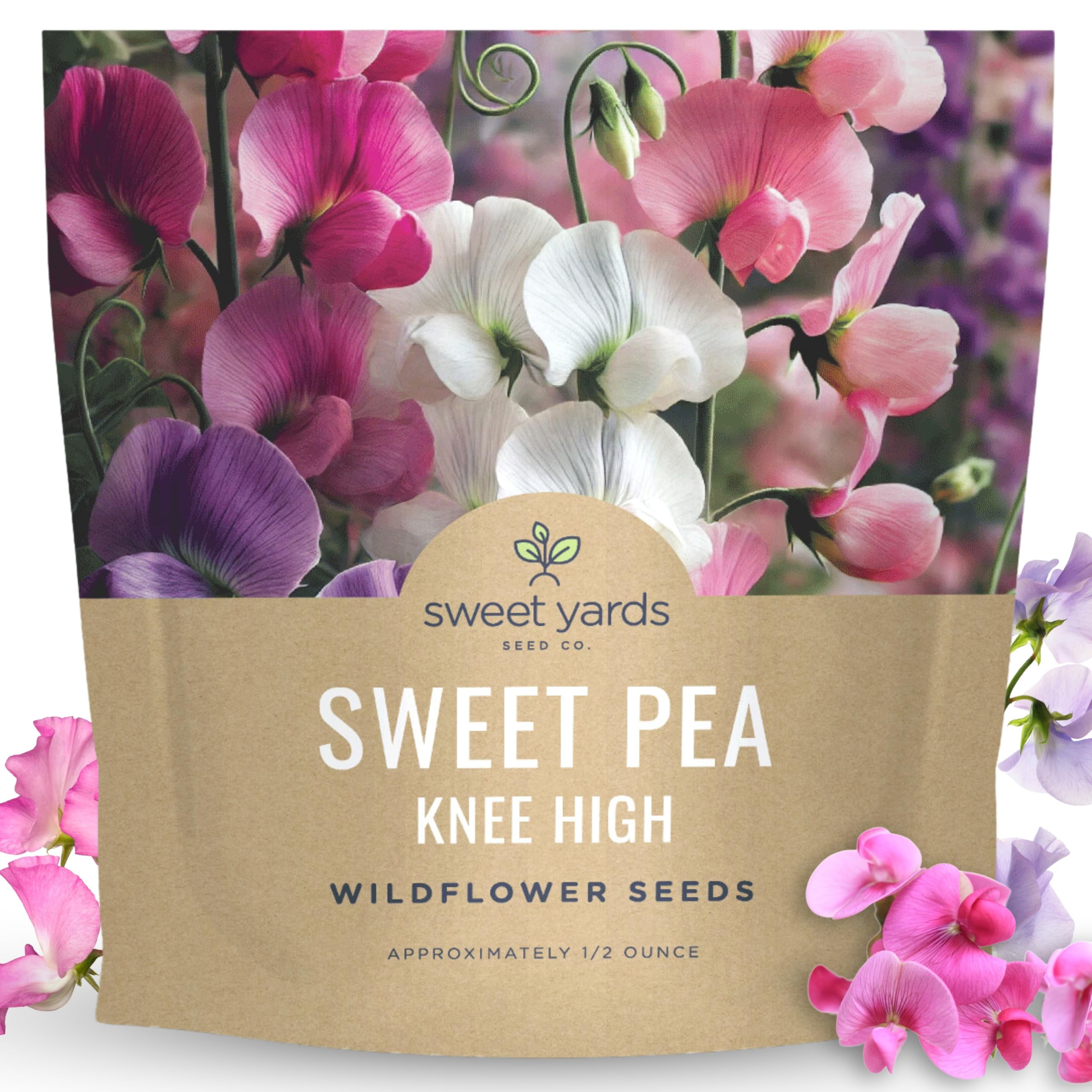 Sweet Pea Knee High - Large BSL1 1/2 Ounce Packet - 150 Flower Seeds ...