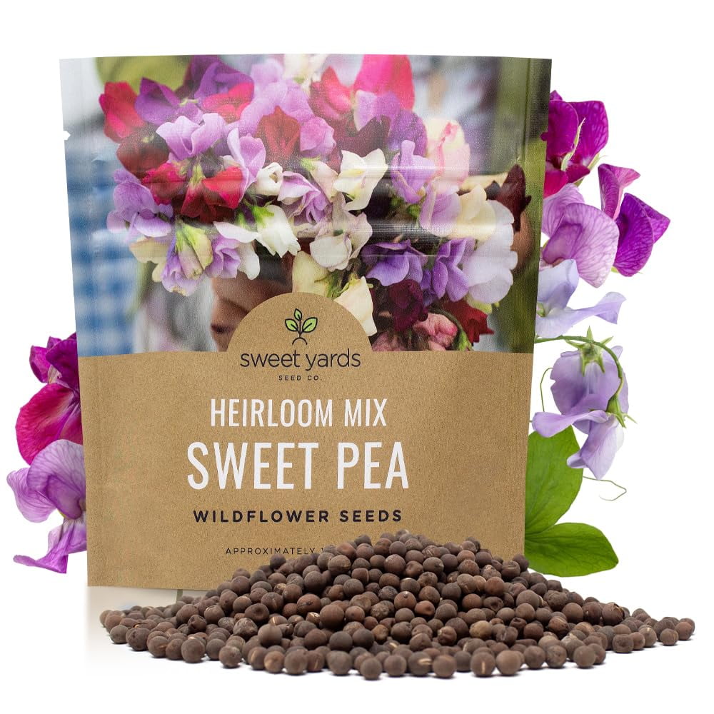 Sweet Pea Seeds Heirloom Mix - BSL1 Bulk 1 Ounce Packet - Over 350 ...