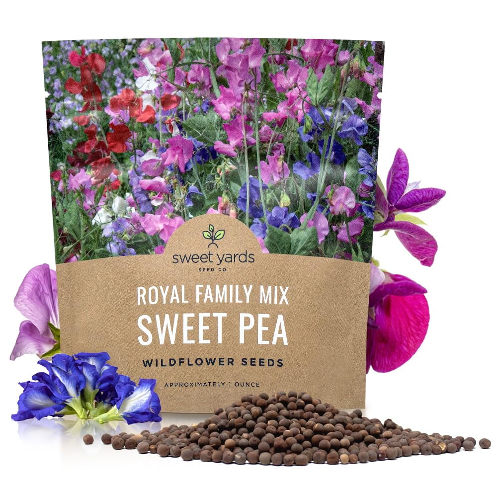 Sweet Pea Seeds Royal Mix - Bulk MHD11 Ounce Packet - Over 350 Seeds ...