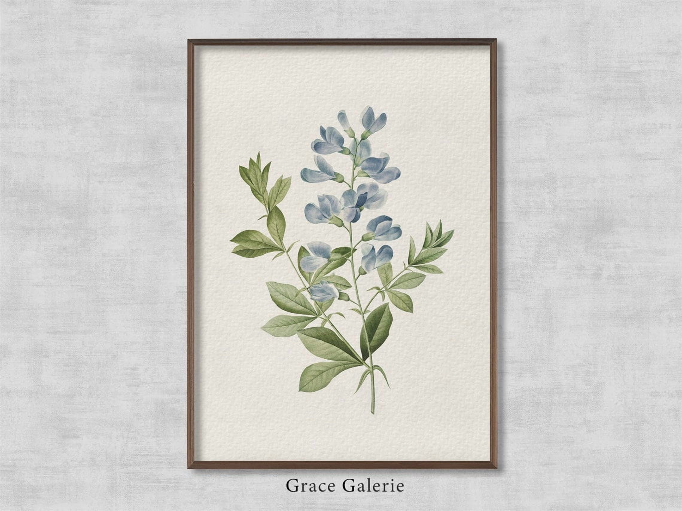 Sweet Pea, , Vintage, Antique Wall Deco, UNFRAMED Poster, Wall Art for ...