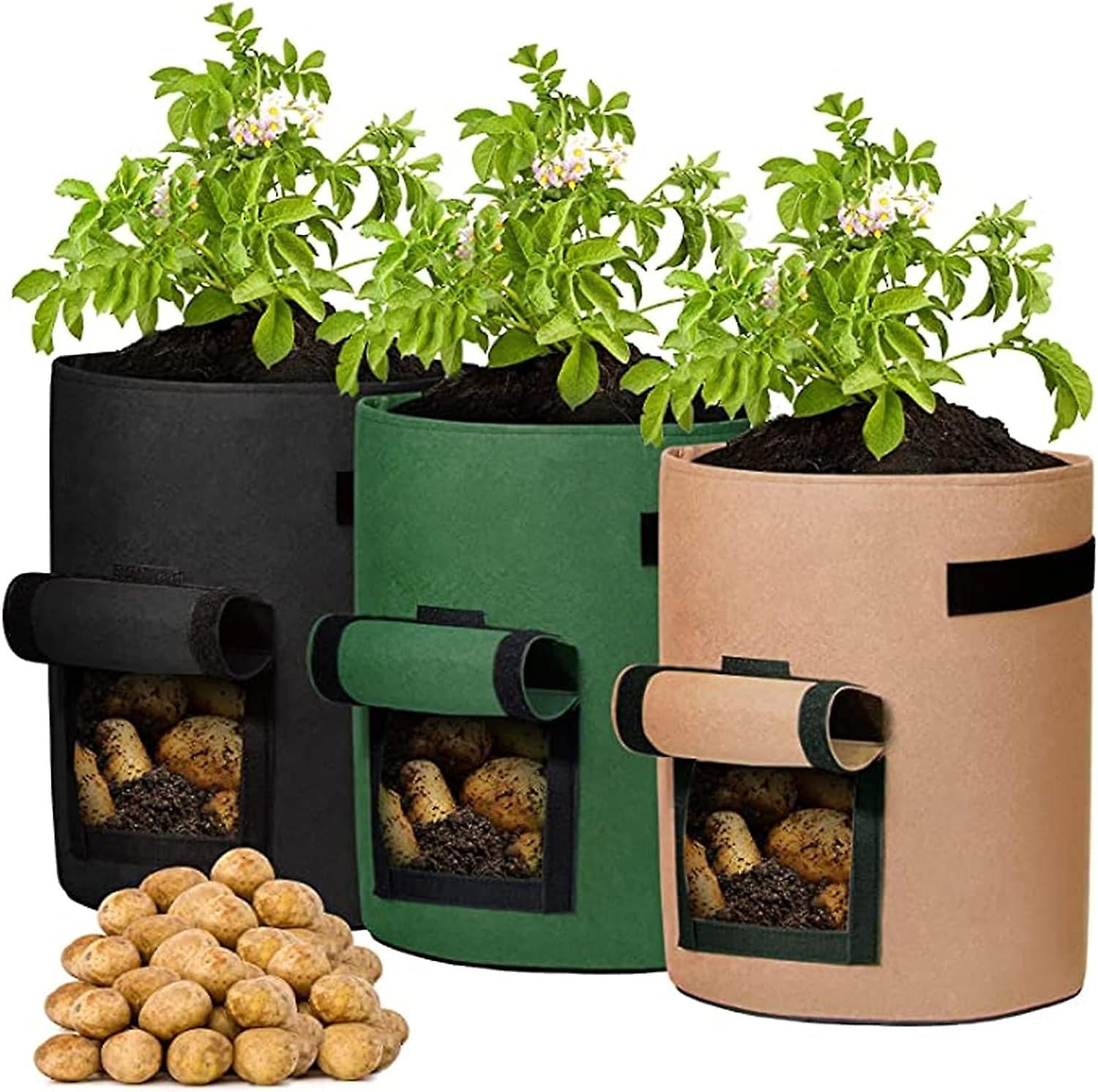 Sweet Potato Potato Planting Bag Plant Bag Beauty Planting Bag Tree ...