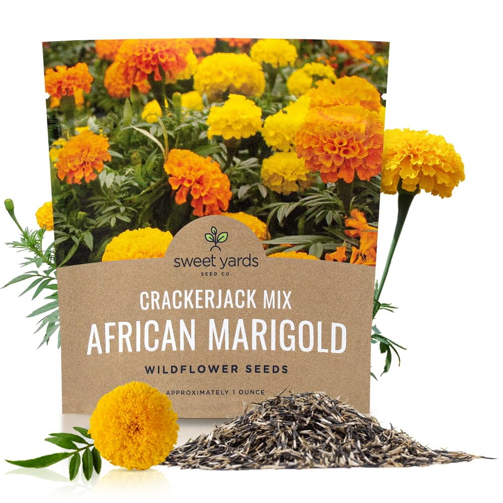 Sweet Yards African Marigold Seeds Mix SMRCrackerjack Mix - Bulk 1 ...