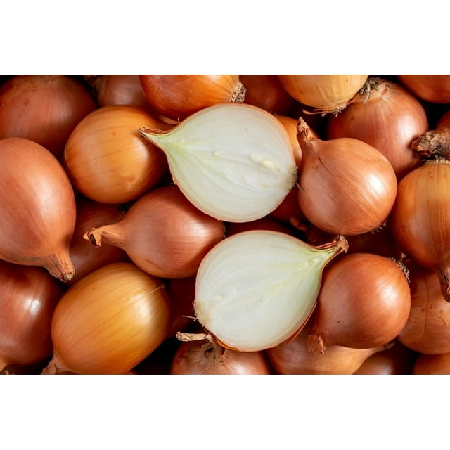 CZ Grain Sweet Yellow Onion Sets 20 Count for Planting, Easy to Grow ...