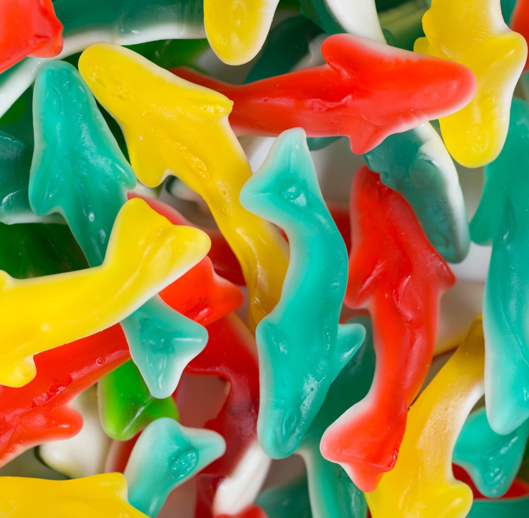 SweetGourmet 2lb Assorted Sharks Gummy Candy with Foam Bottom - Walmart.com