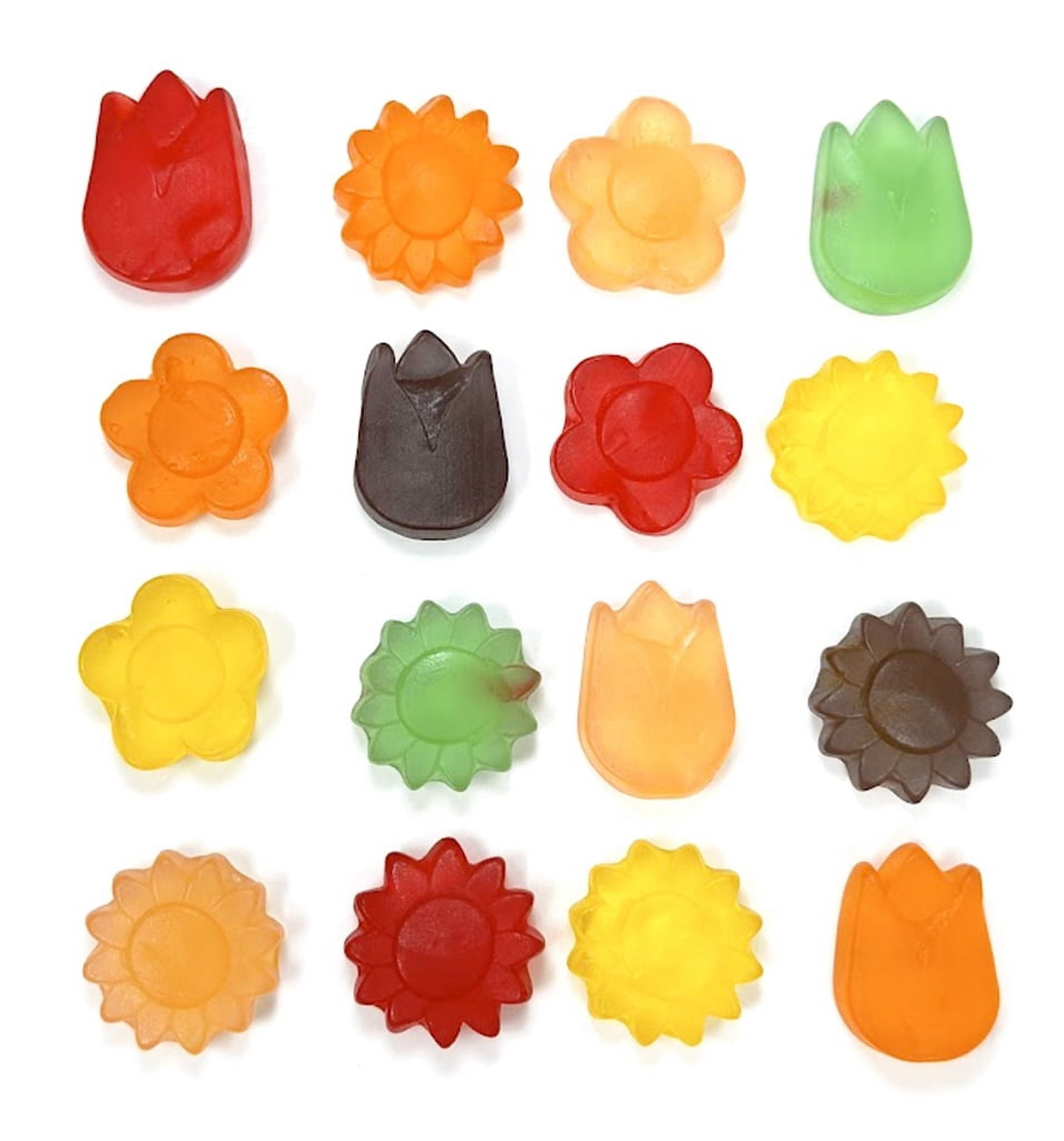 Sweet Gourmet Bulk Juicy Fruit Gummy Flowers, Assorted Rainbow Colors ...