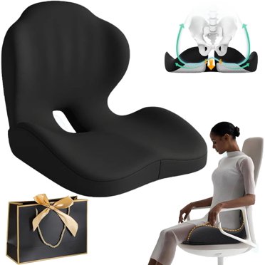 MotorTrend Lumbar Back Support, Portable Orthopedic Lumbar Back Support ...