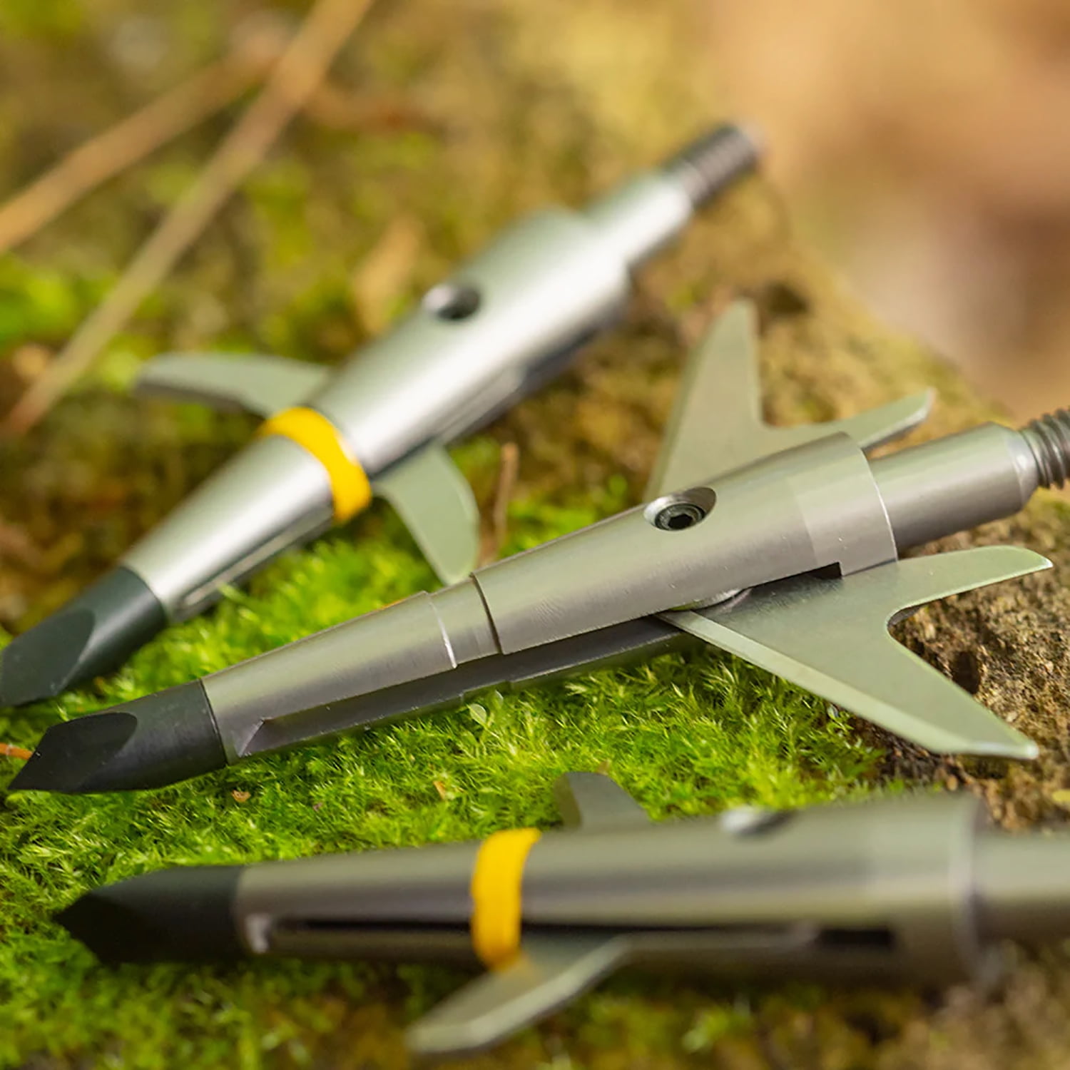 Swhacker #219 Crossbow Broadheads, 2-Blade 100 Grain 1.75" Cut, (Pack ...