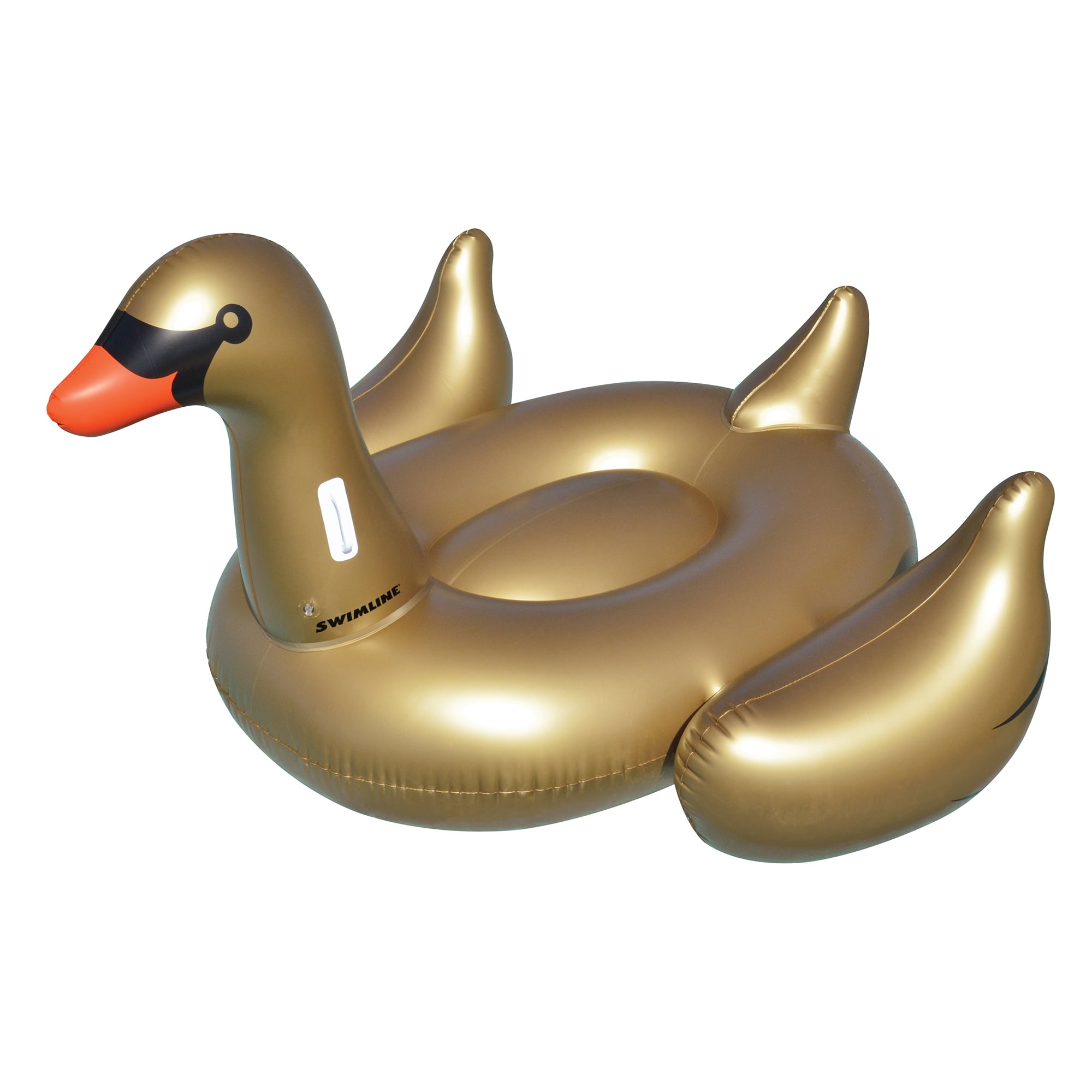 Swan Swimming