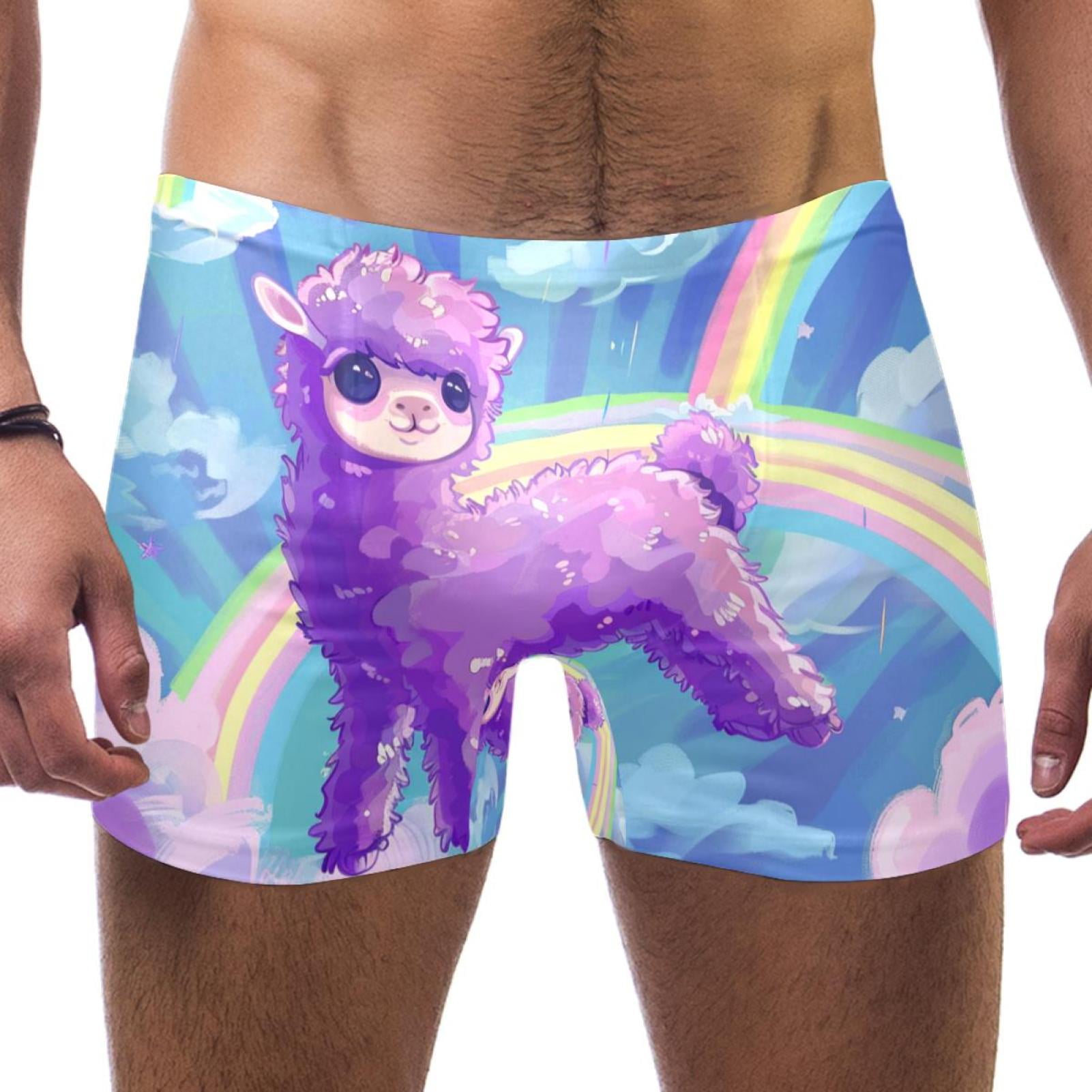 Swim Jammers for Men, Mens Swim Jammers, Llama Animal Rainbow Alpaca ...