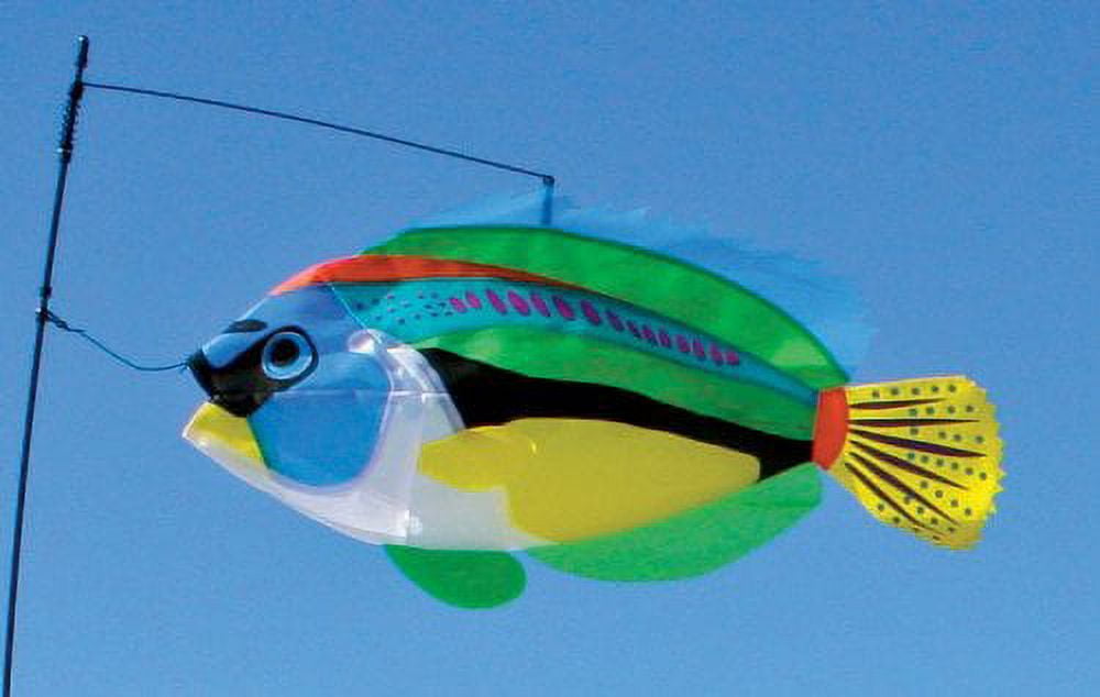Premier Kites Swimming Fish - Peacock Wrasse - Walmart.com