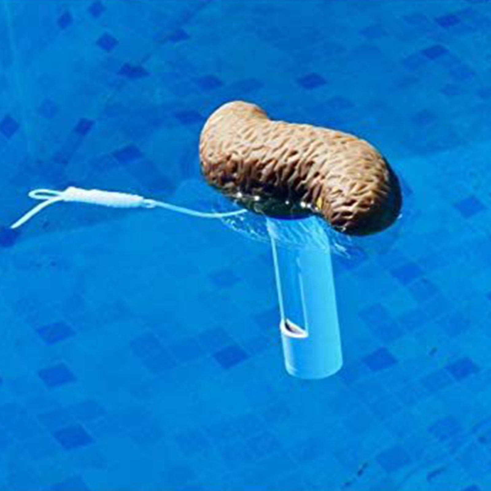 Swimming Funny Poop Shaped Floating Pool Temperature Display Hilarious ...
