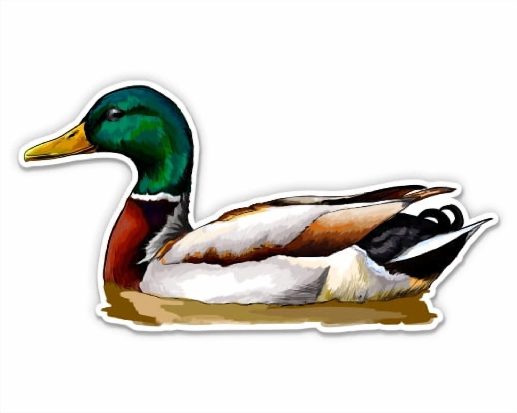Swimming Mallard Duck - 8" Vinyl Sticker - For Car Laptop I-Pad ...