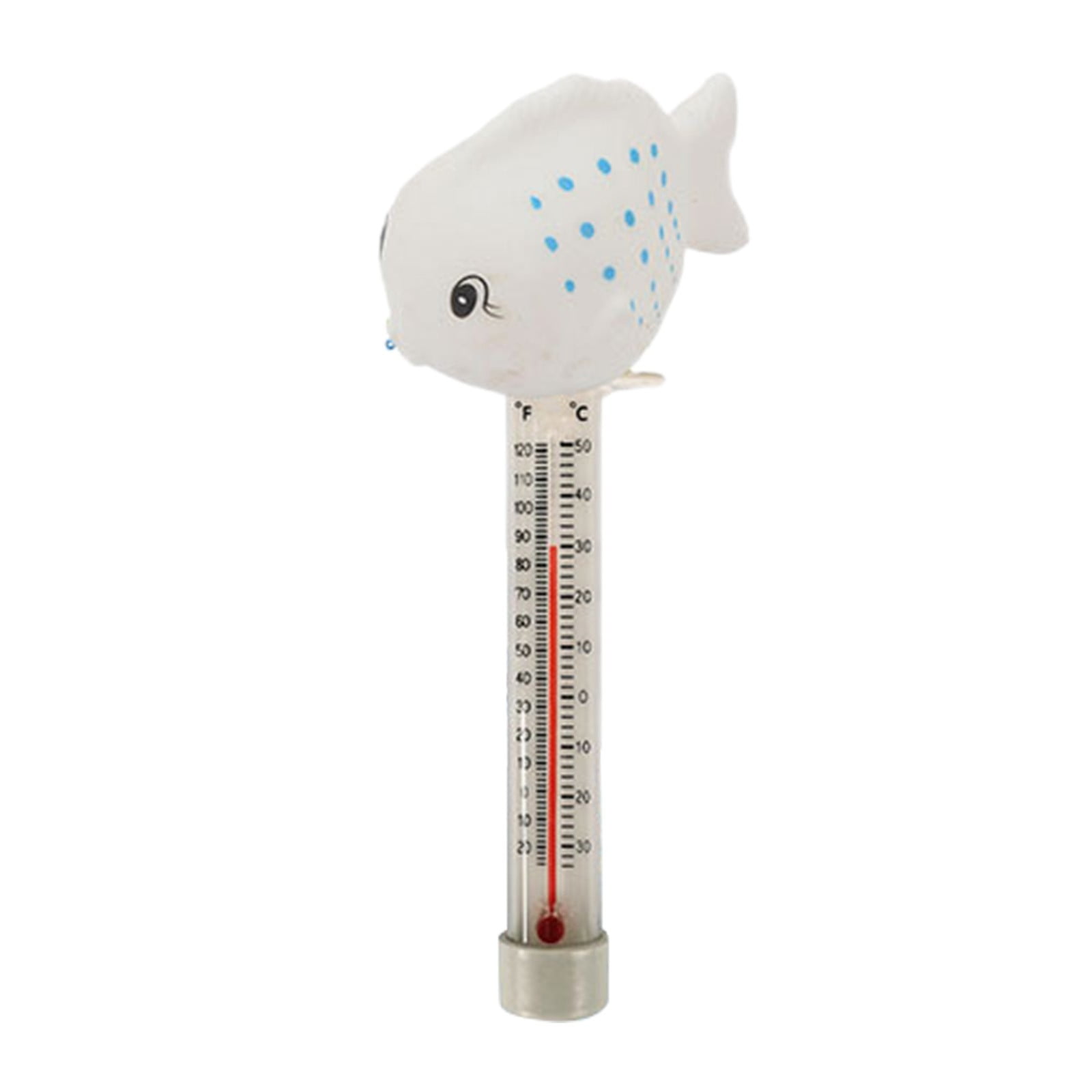 Swimming Pool Float Temperature Gauge Cartoon Animal Marine Animal Spa ...