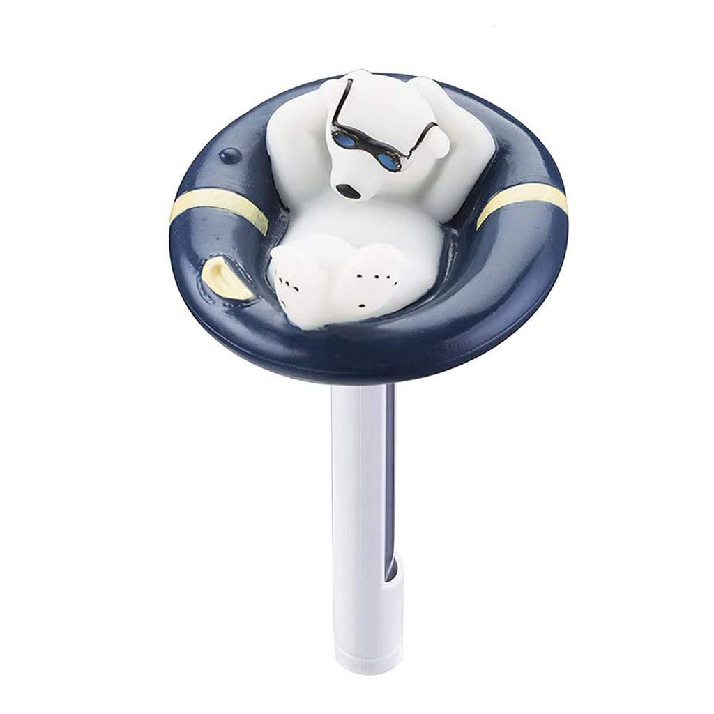 Swimming Pool Spa Tub Buoy Floating Water Temp ℃ ℉ Temperature 1ML ...
