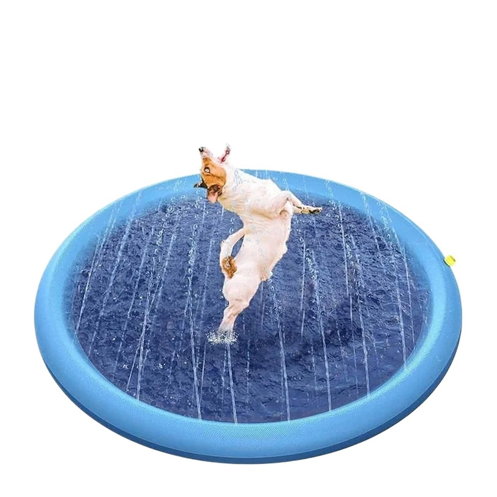 Swimming Summer Pet Swimming Pool Water Mat, Outdoor Water Play Mat Eye ...