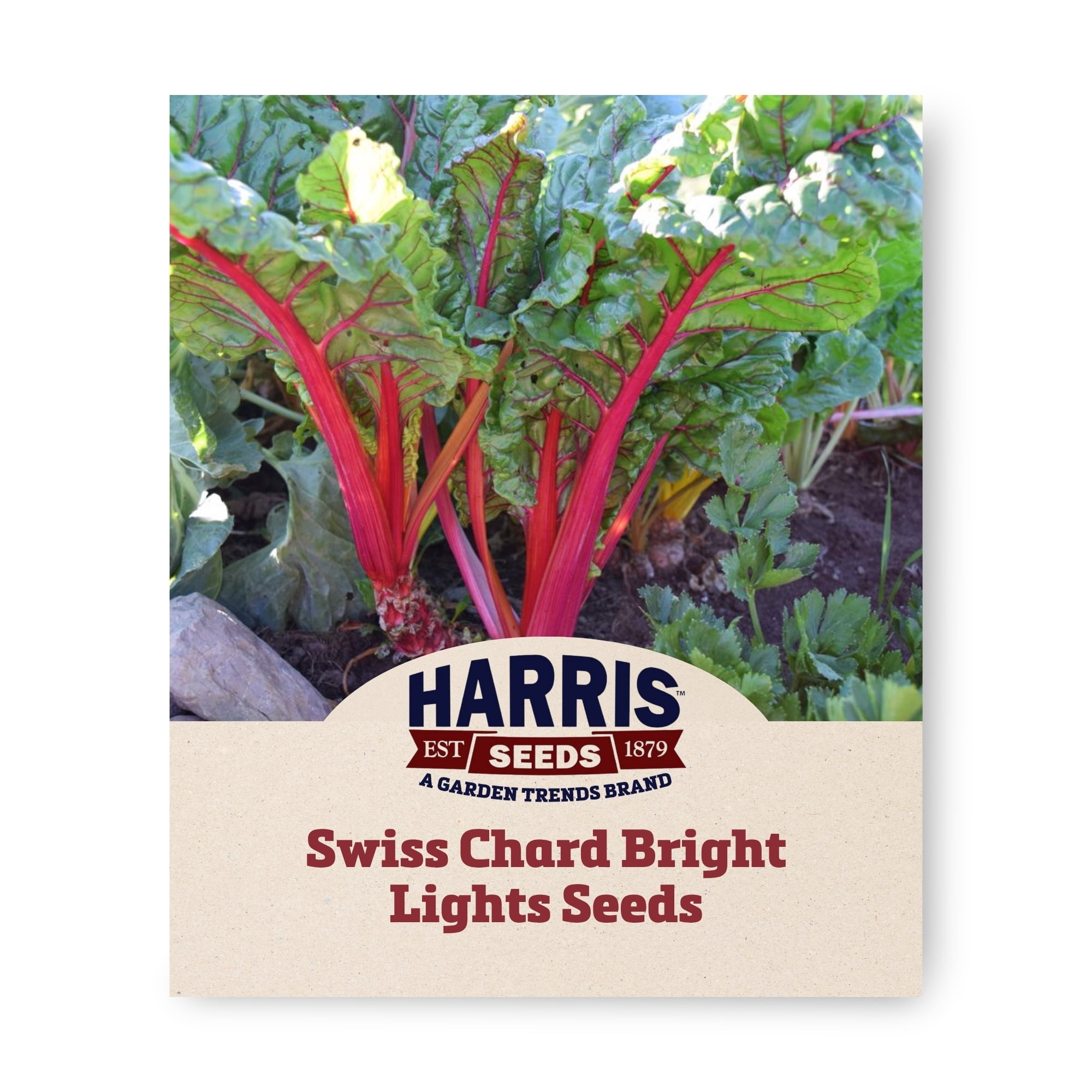 Harris Seeds Swiss Chard Bright Lights, Multicolor Stem Leafy Green Mix ...