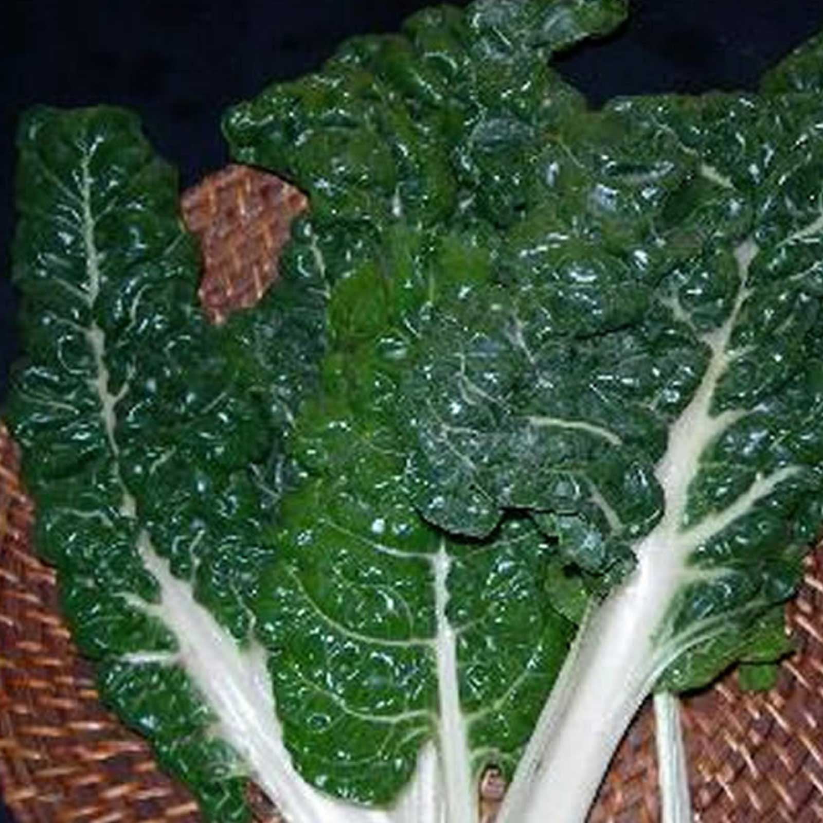 Swiss Chard Garden Seeds - Fordhook Giant - 1 Lb - Non-GMO, Heirloom ...