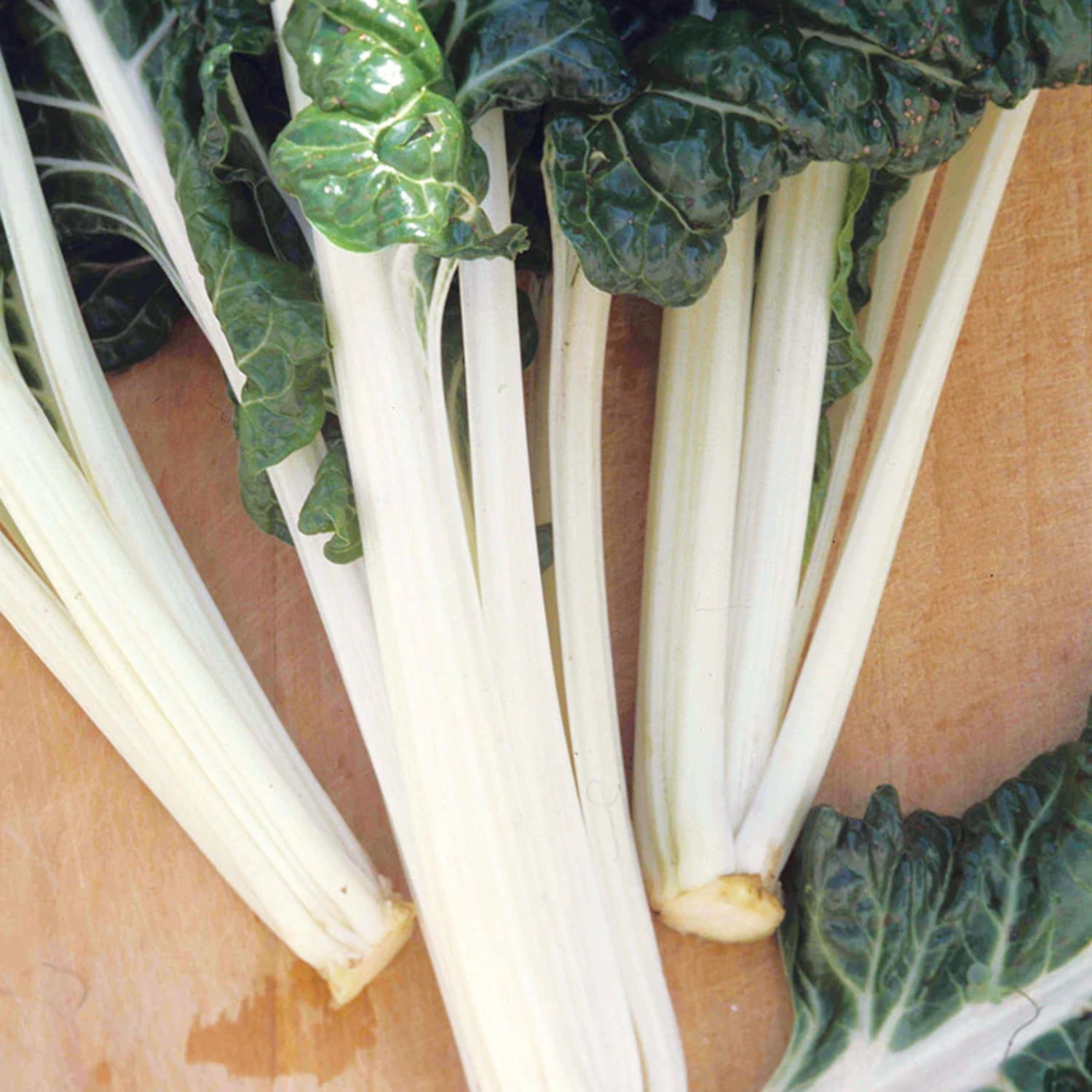 Swiss Chard Large White Ribbed Seed, Treated, 1 Ounce - Walmart.com