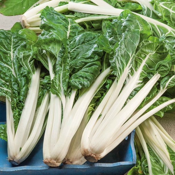 Swiss Chard Seeds - Large White Rib - 1/4 Pound - Vegetable Seeds ...