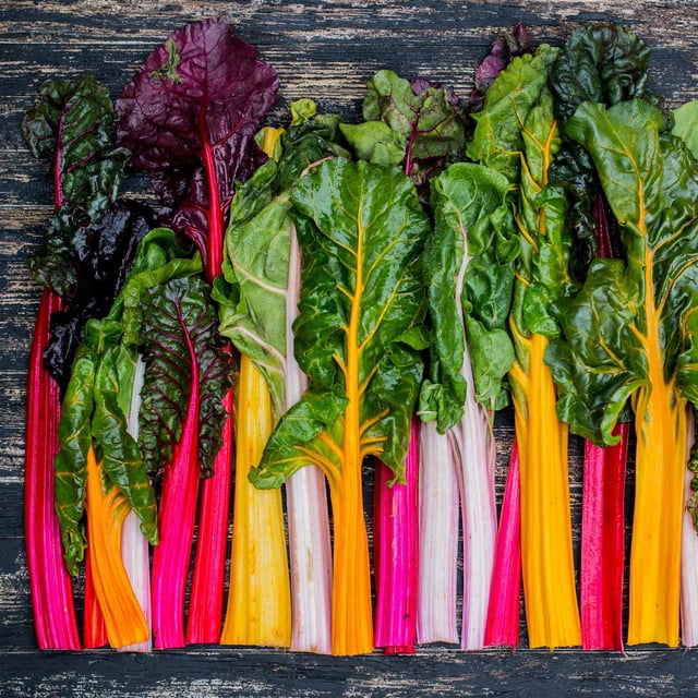 Eden Brothers Swiss Chard Seeds (Organic) - Rainbow of Lights - Walmart ...