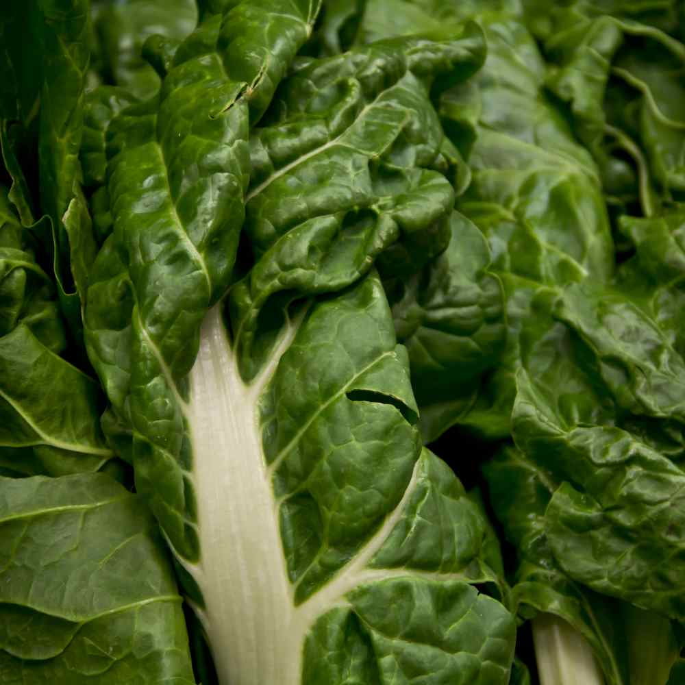 Swiss Chard Seeds - Swiss Chard Green Herb Seed - 2000 Seeds - Walmart.com