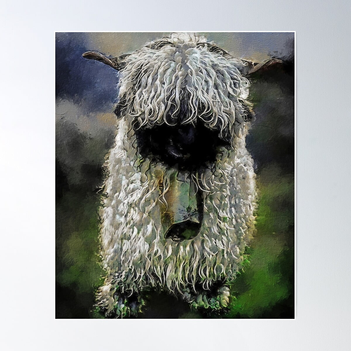 Swiss Valais Blacknose Sheep, Cute Farm Animal, Walliser ...