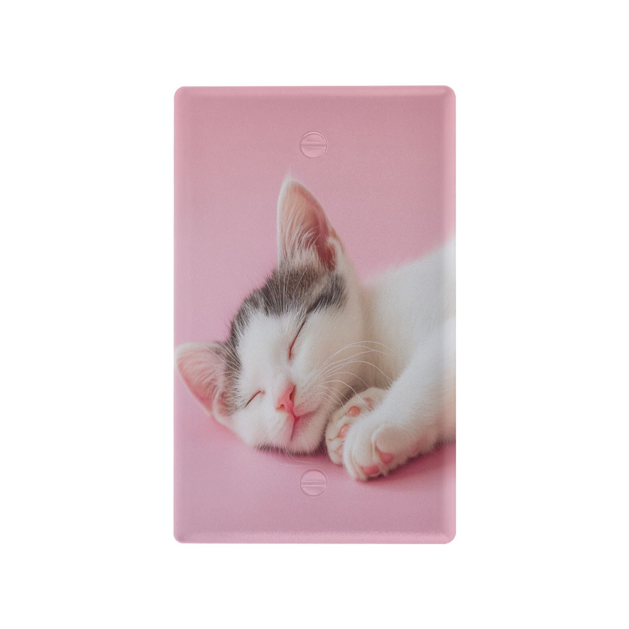 Switch Panel Switch Decoration 2.76x4.53x0.28 Inches Duplex Outlets ...