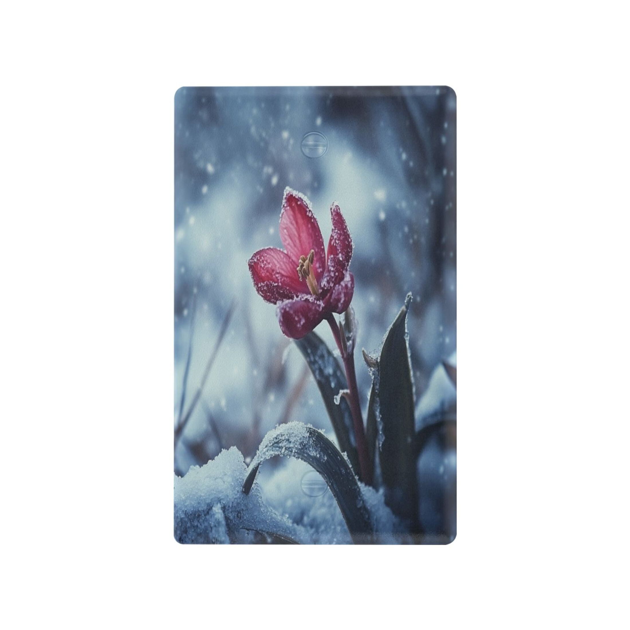 Switch Panel Switch Decoration 2.76x4.53x0.28 Inches Duplex Outlets ...