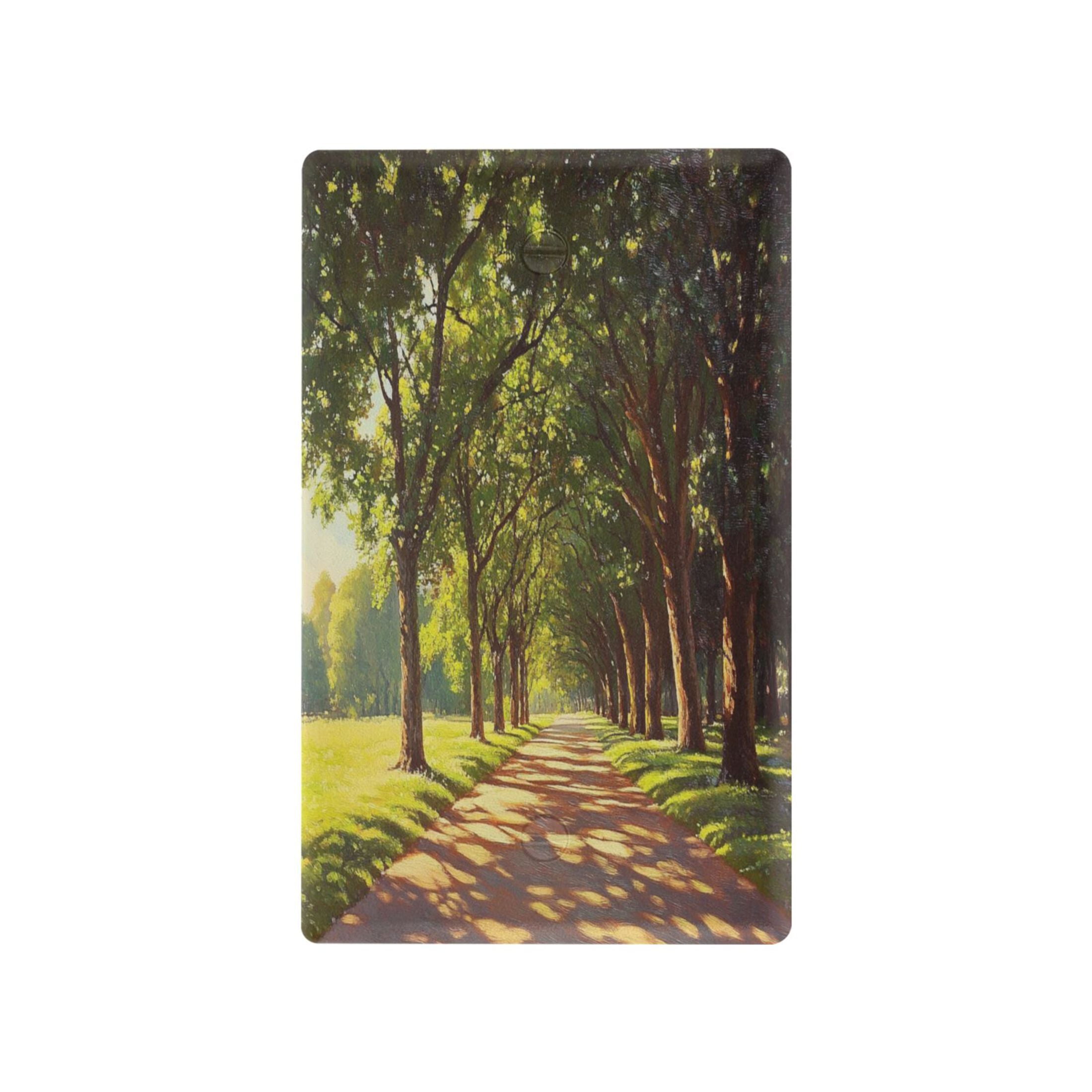 Switch Panel Switch Decoration 2.76x4.53x0.28 Inches Duplex Outlets ...