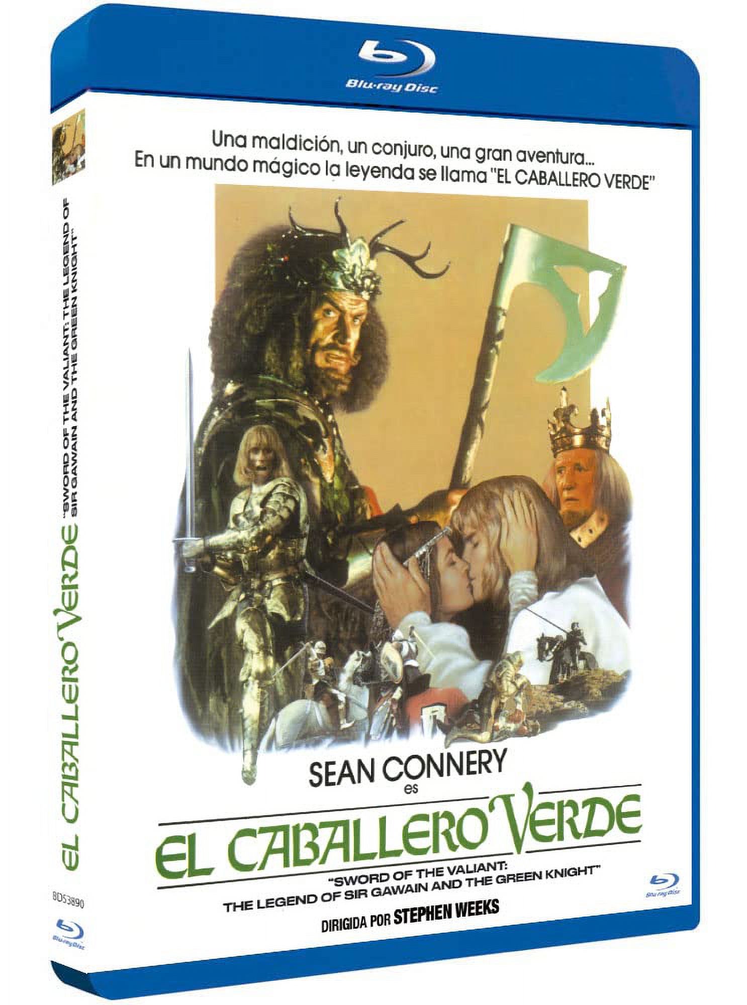 Sword of the Valiant: The Legend of Sir Gawain and the Green Knight ...