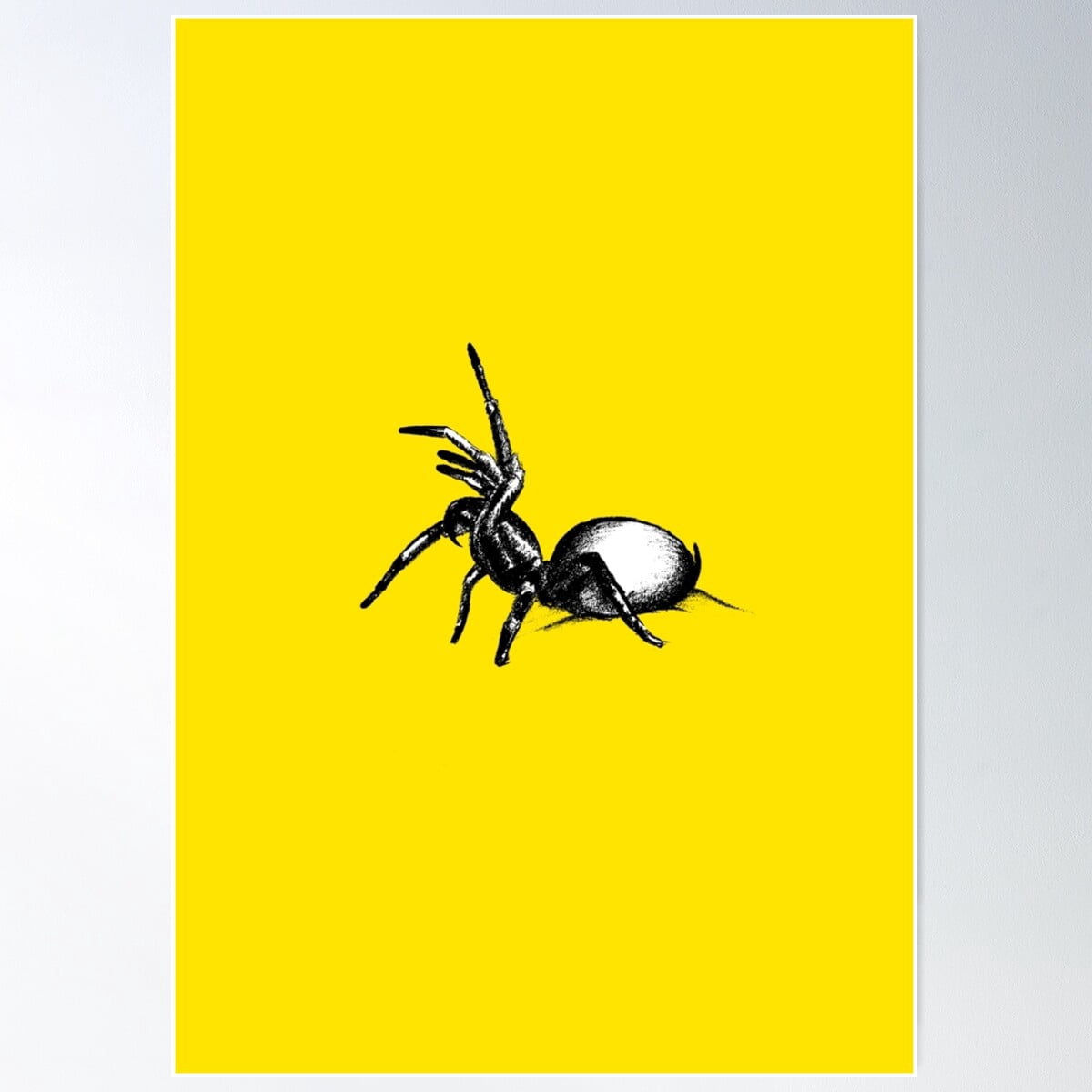Sydney Funnel Web Spider Poster Wall Art, Modern Wall Decor For Living ...