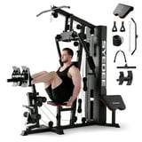syedee Home Gym Station, Full Body Workout Equipment, 150LBS Weight ...