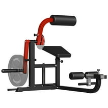 Titan Fitness Economy H-PND, Reverse Hyperextensions Lower Body Machine ...