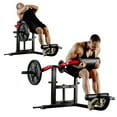 Syedee Seated AB Curl/ Back Extension Machine, Plate Loaded Machine ...