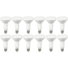 Rough Service Light Bulbs