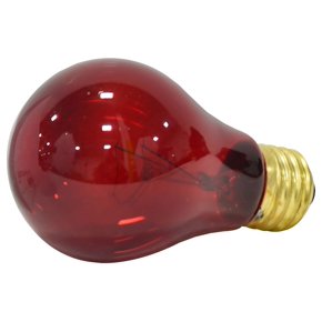 Red Light Bulbs in Colored Light Bulbs - Walmart.com