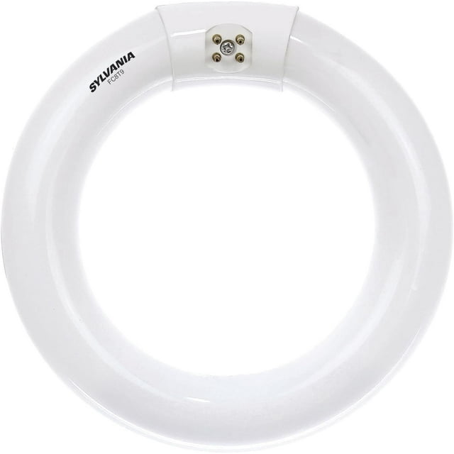 Sylvania 23538 6 Pack 22W 8 inch Fluorescent Circular Light Bulb, 6500K ...
