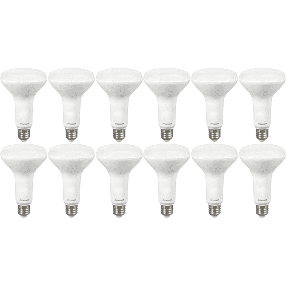 Bulged Reflector Light Bulbs in Shop Light Bulbs by Shape - Walmart.com