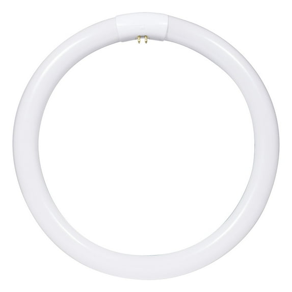Sylvania 32W T9 Circline Fluorescent Light Bulb, 12in, 4100K Cool White, 1800Lm - Walmart.com