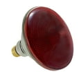 Sylvania Outdoor Flood Light Bulb, Blue - Walmart.com