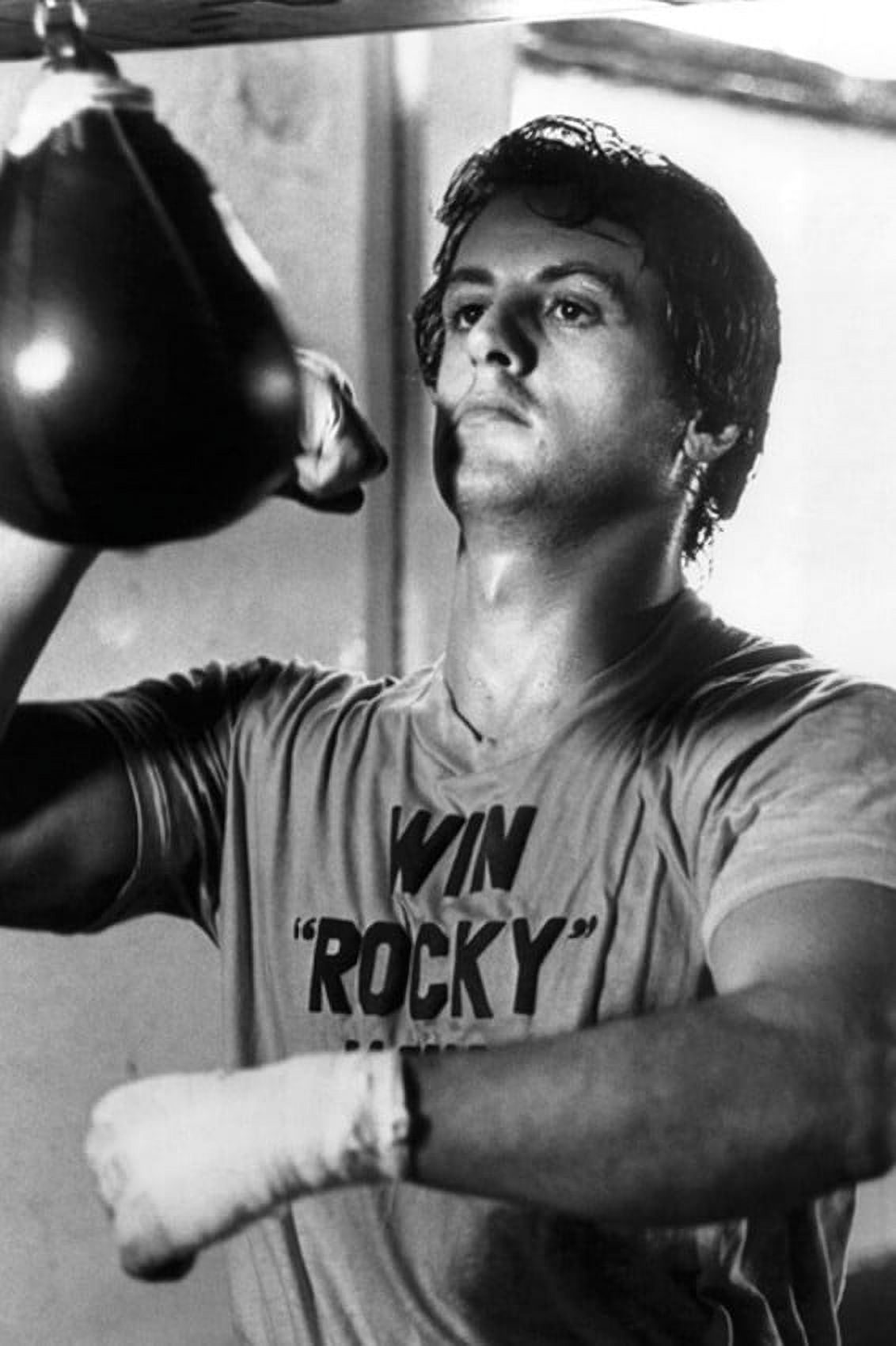 Sylvester Stallone in Rocky working out in gym punch bag 24x36 Poster ...