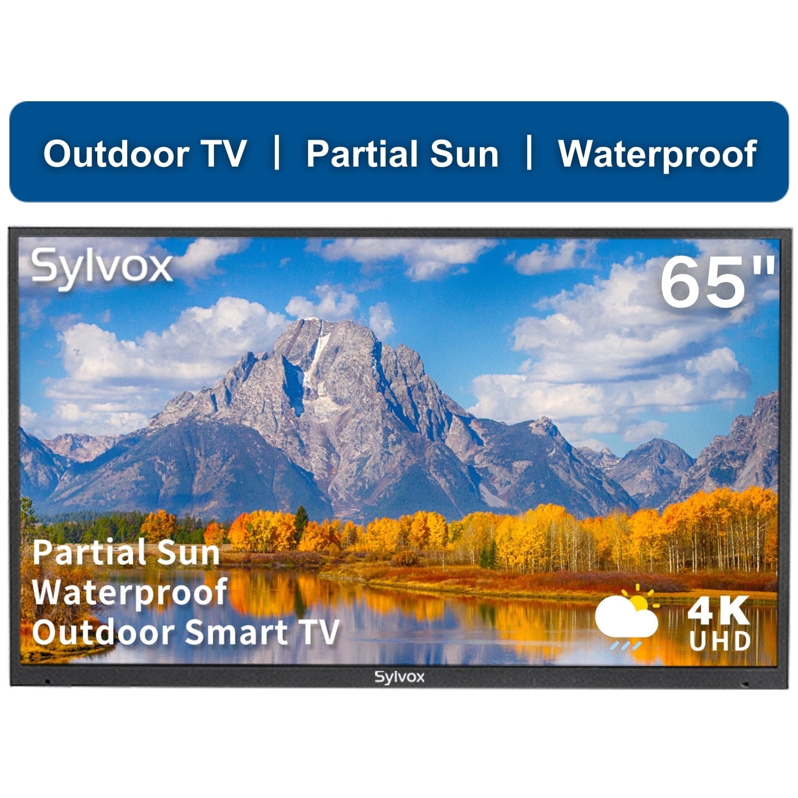 1000 Inch Flat Screen Tv